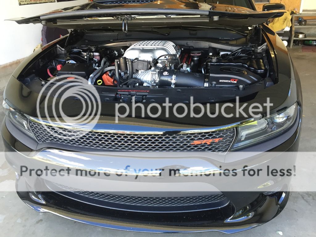Engine bay cat pictures only | Page 2 | SRT Hellcat Forum