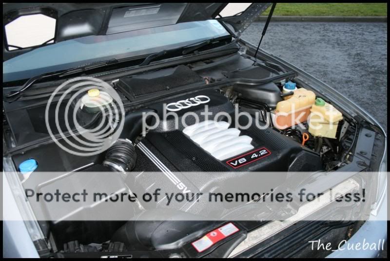 Can You Snow Foam Engine Bay at Randall Maupin blog