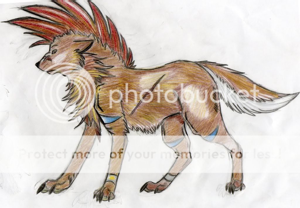 View topic - Some of my wolf drawings[4 new uncolored sketches ...