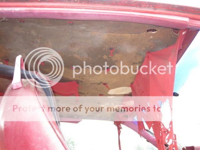 The Official H-Body Internet Community • View topic - My first car ...